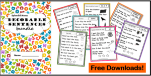 decodable sentences book - Splendid Moms