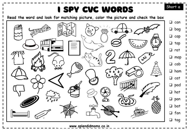 I SPY CVC Words - Splendid Moms