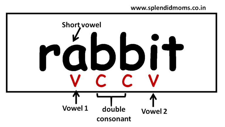 Rabbit Rule English Spelling Rule - Splendid Moms